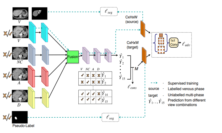 Co-Heterogeneous and Adaptive Segmentation from Multi-Source and Multi ...