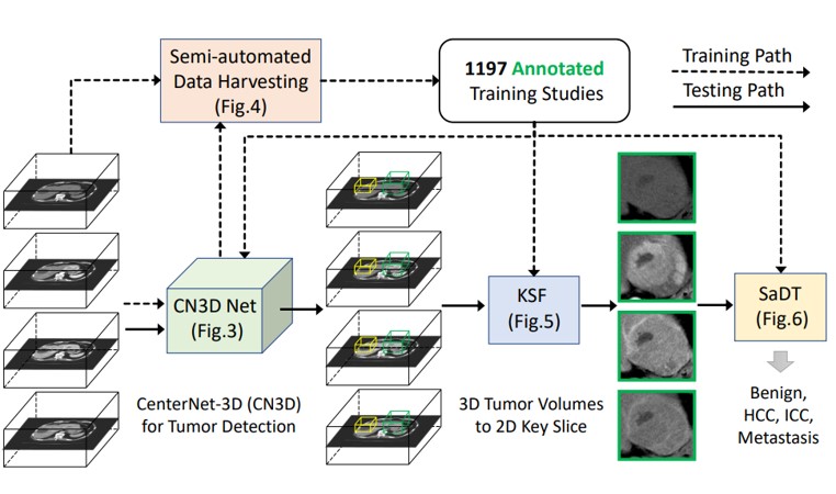 Harvesting, Detecting, and Characterizing Liver Lesions from Large ...