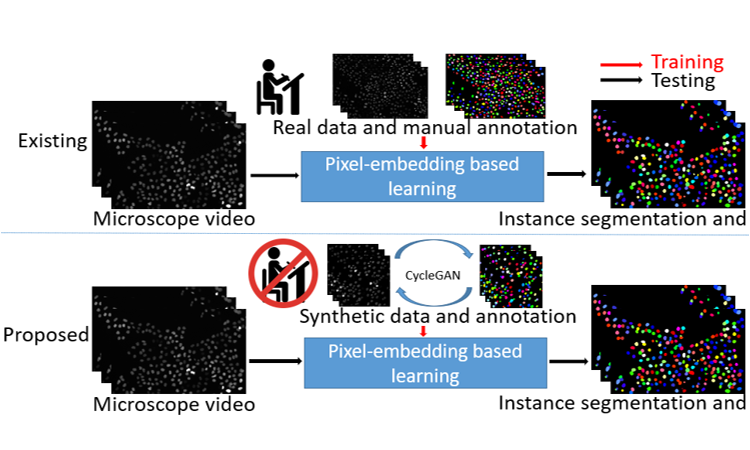 ASIST: Annotation-free Synthetic Instance Segmentation and Tracking by Adversarial Simulations ...