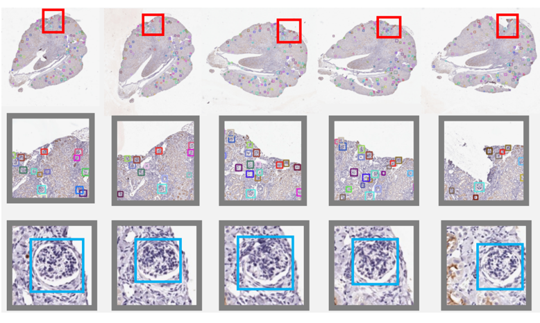 Map3D: Registration Based Multi-Object Tracking on 3D Serial Whole ...