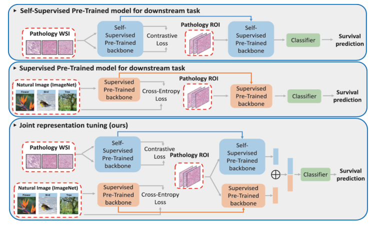 Leverage Supervised and Self-supervised Pretrain Models for ...