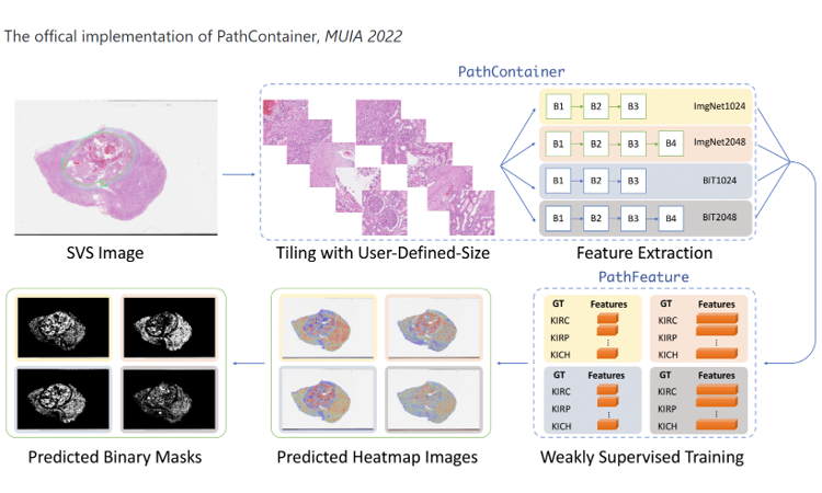 Large-Scale Patch-Wise Pathological Image Feature Dataset with a ...